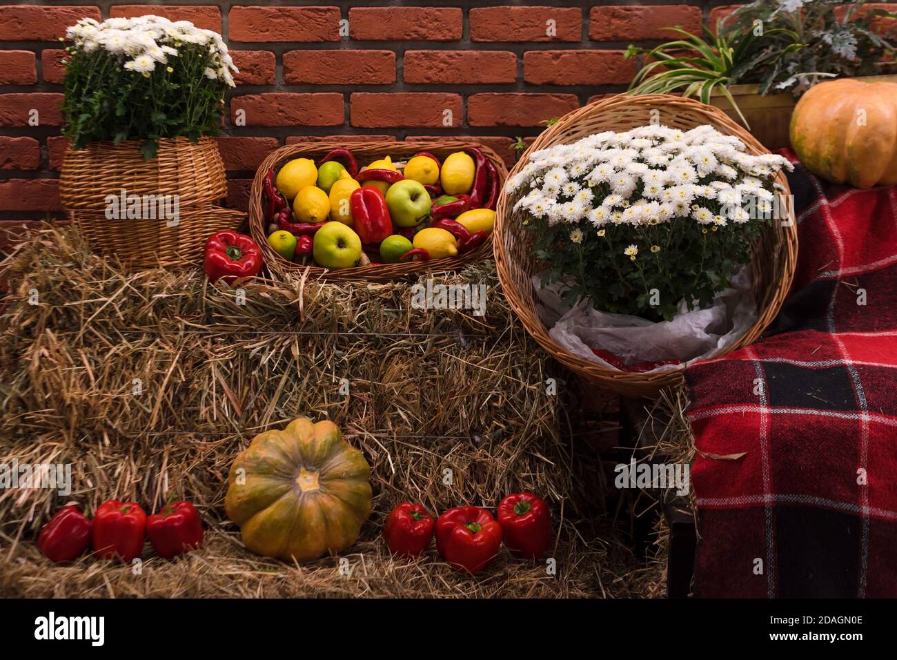 Outdoor haystacks with pumpkins hi-res stock photography and images - Alamy