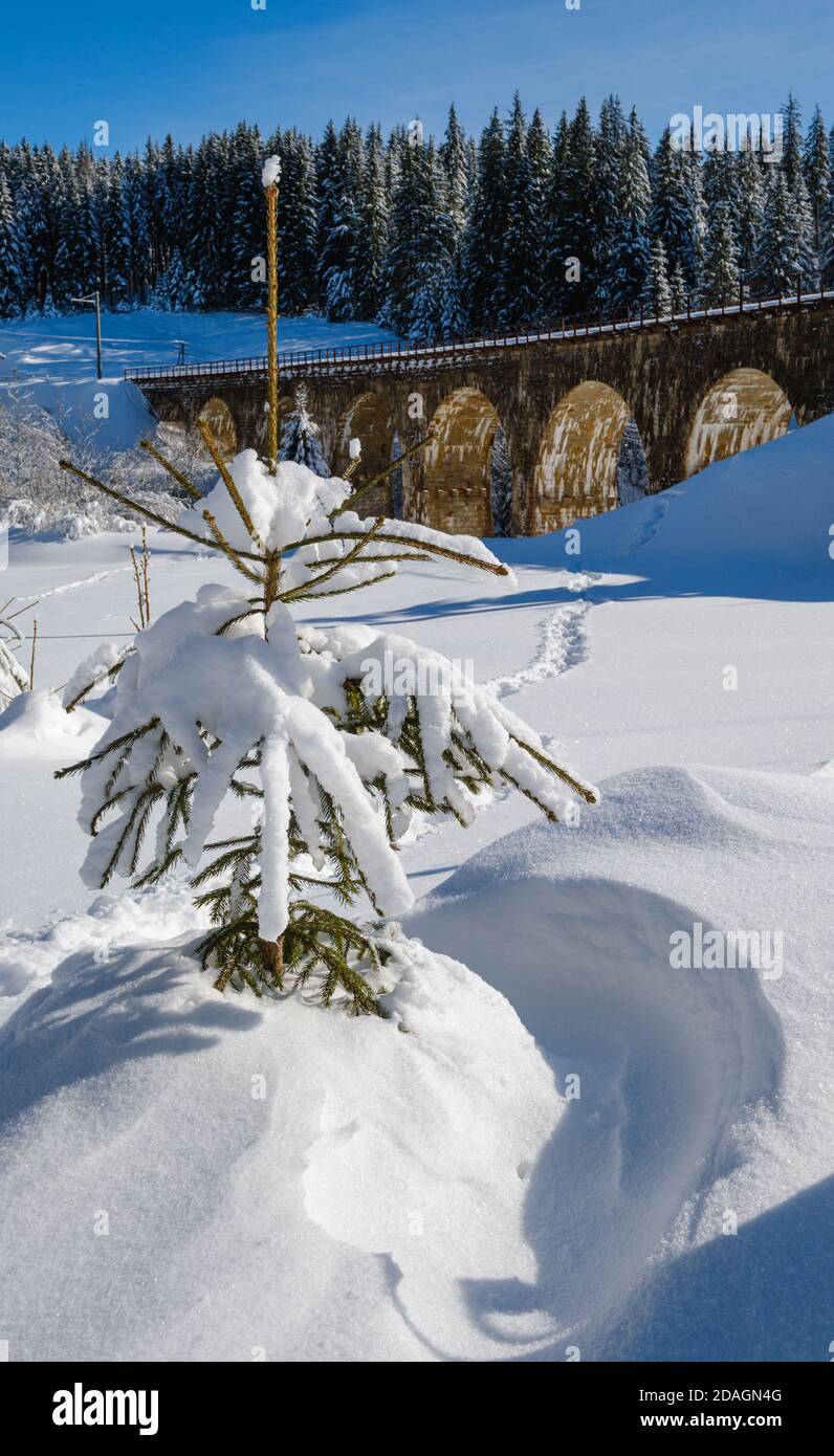 Stone viaduct (arch bridge) on railway through mountain snowy fir ...