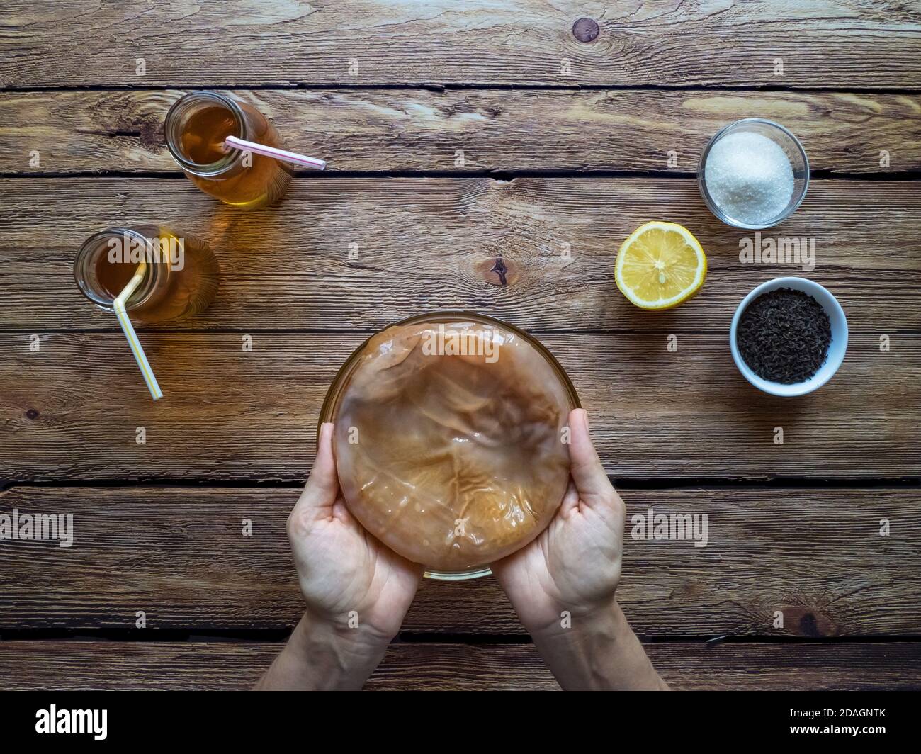 Kombucha fungus. Organic fermented tea drink Stock Photo - Alamy