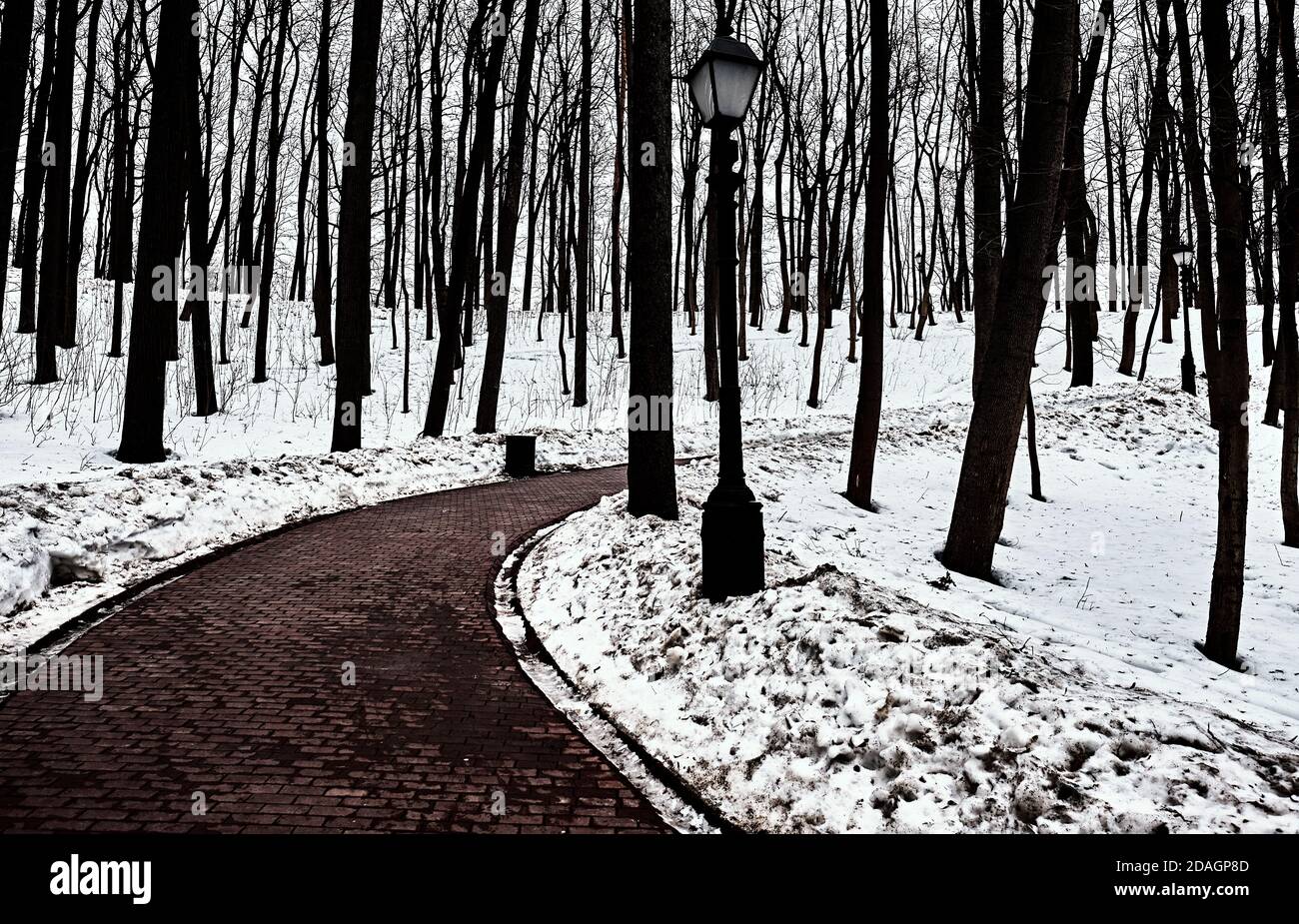 Pathway Winding Through Snowy Winter Scene Stock Photo - Alamy