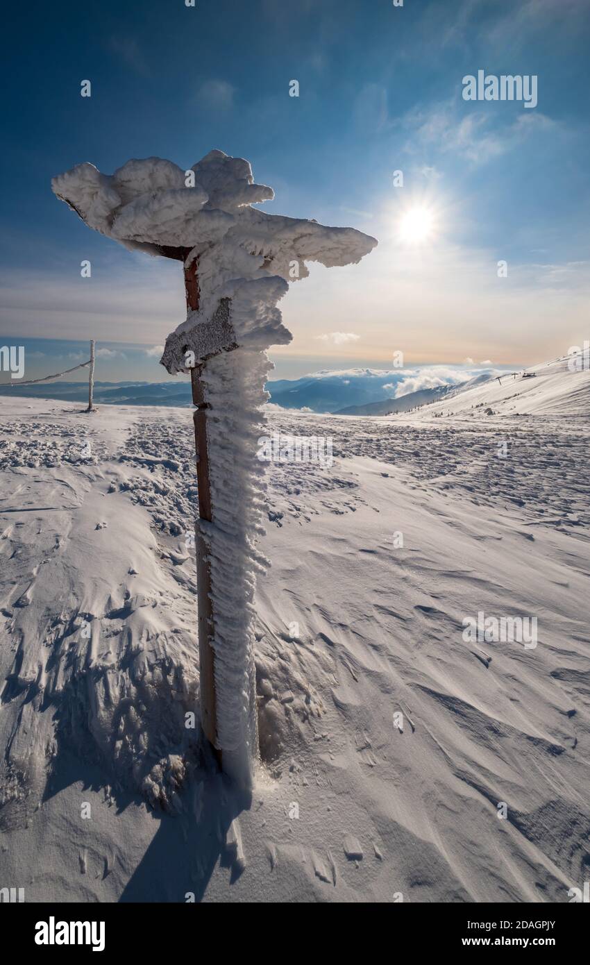 Snow covered pointer near path on snowy mountain plateau and sunshine ...