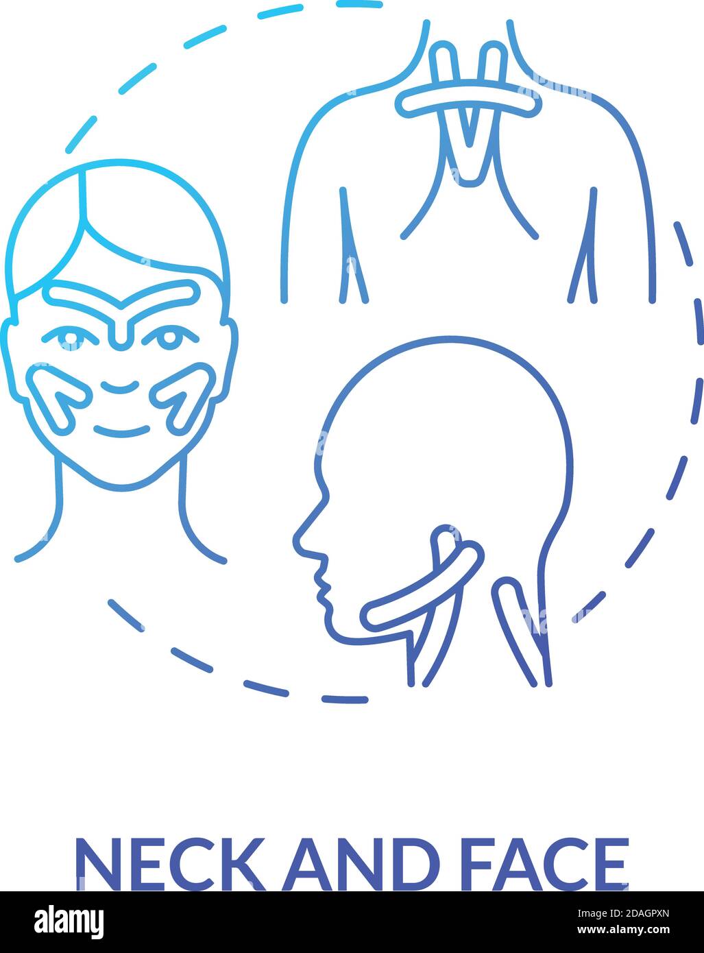 General anatomy Stock Vector Images - Alamy