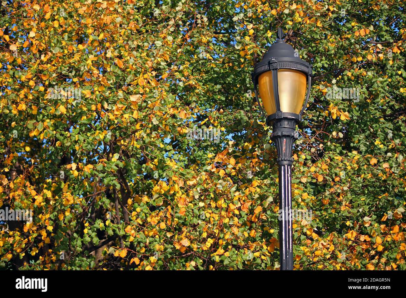 The vintage lamp and the autumn colored trees Stock Photo - Alamy