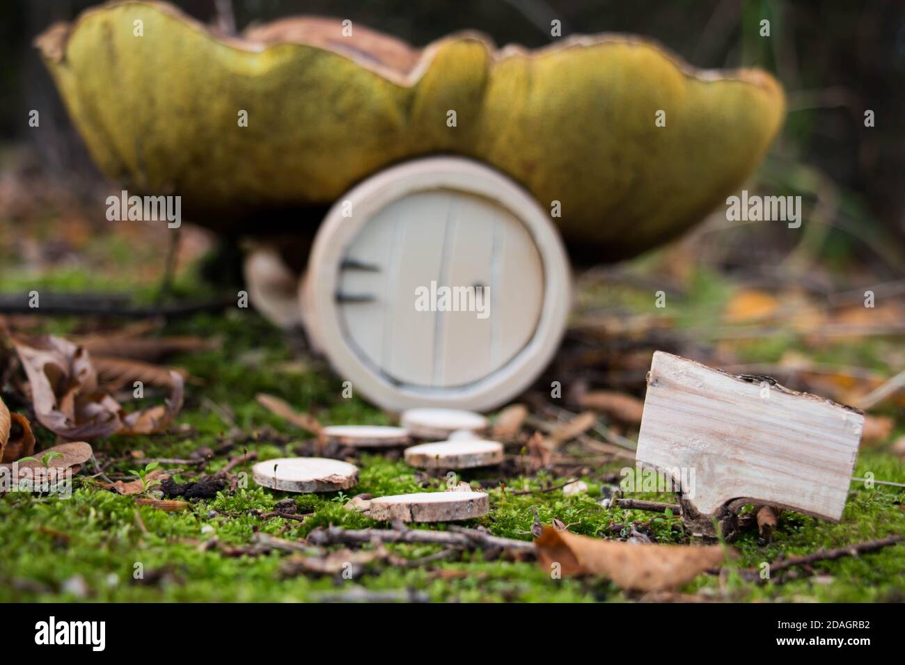 Fairy house built in a cep (Boletus edulis) with blank wooden sign ...