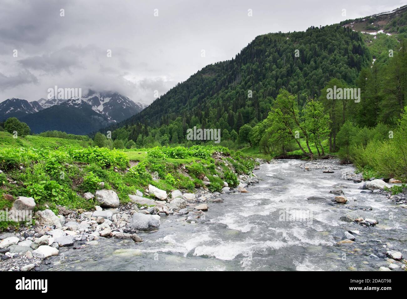 Rough mountain river in Avadhara. Beautiful spring landscape. Caucasus ...