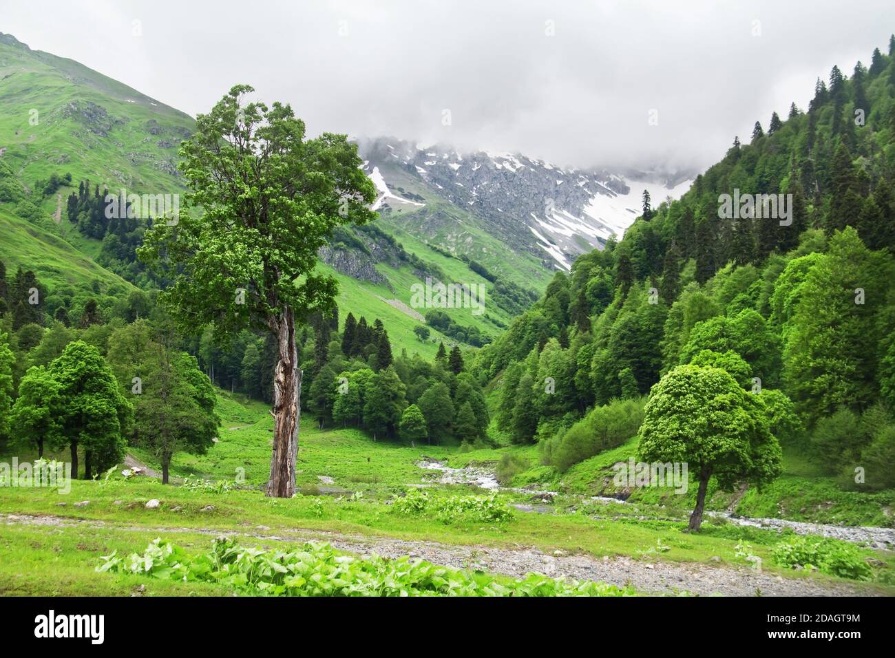 Abkhazia hi-res stock photography and images - Alamy