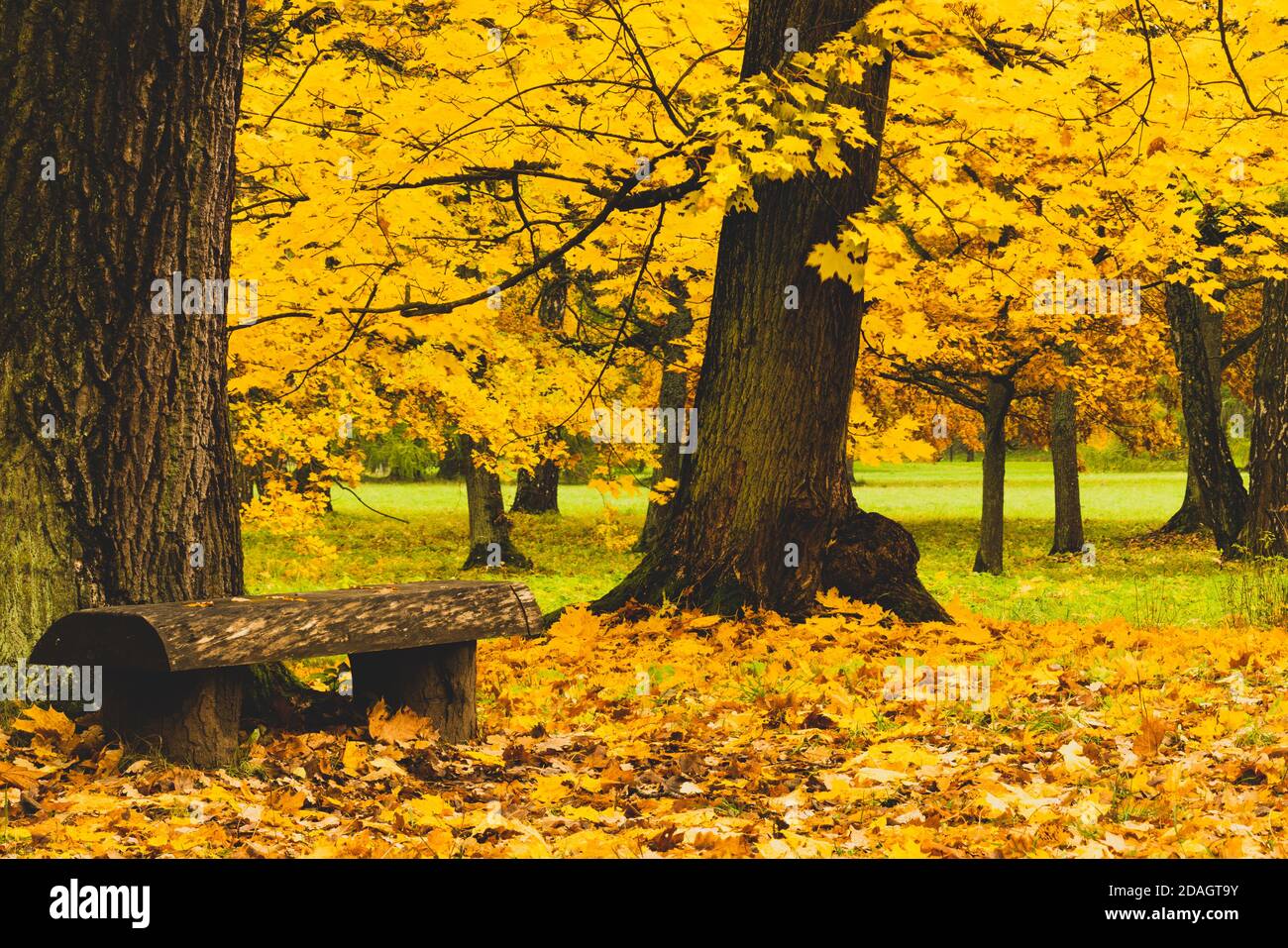 Sit down and listen to hi-res stock photography and images - Alamy