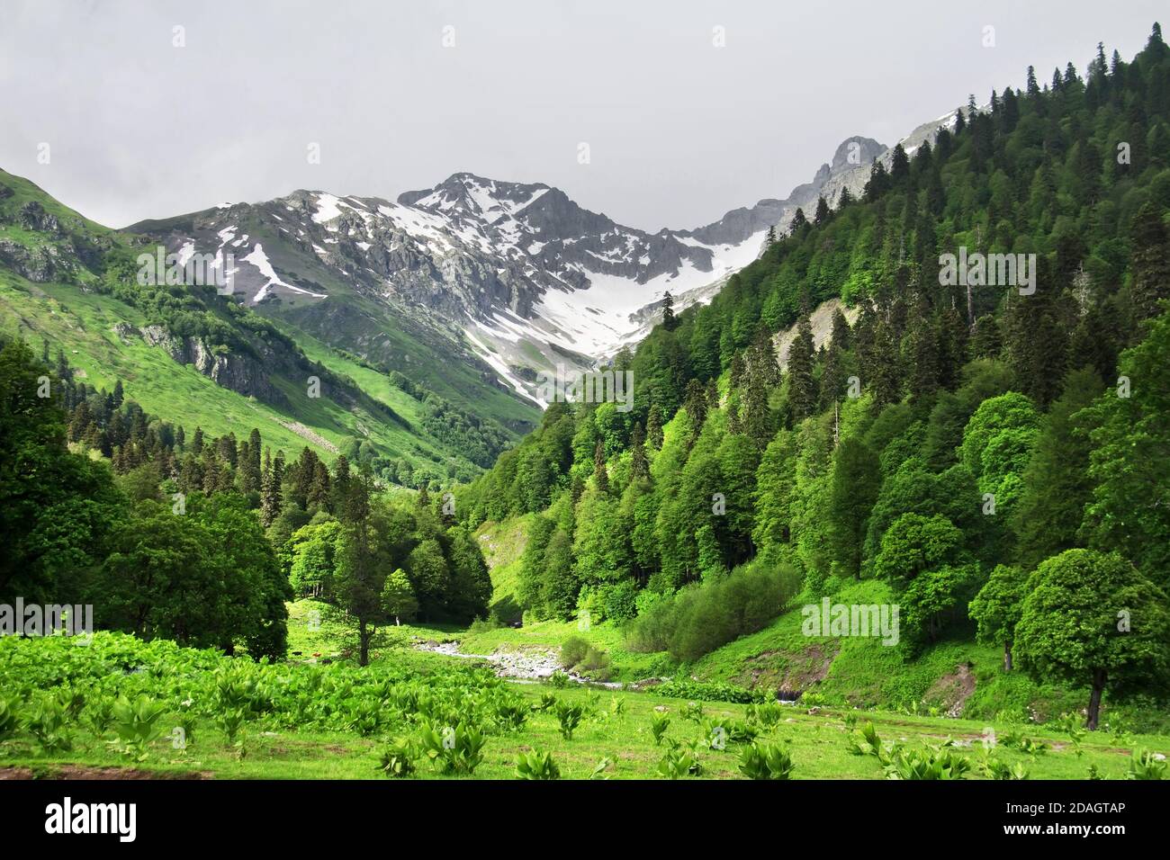 Mountain landscape. Caucasus Mountains in summer. Avadhara, Republic of ...