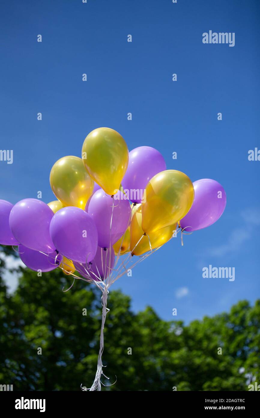 Vertical shot of yellow and purple helium balloons in the sky Stock ...
