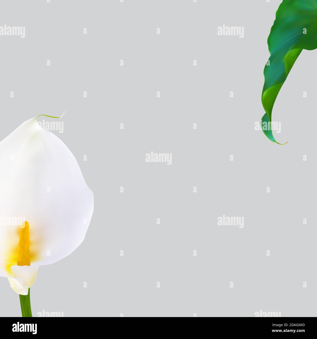 Flower Natural Background for Instagram Post. Vector Illustration EPS10 ...