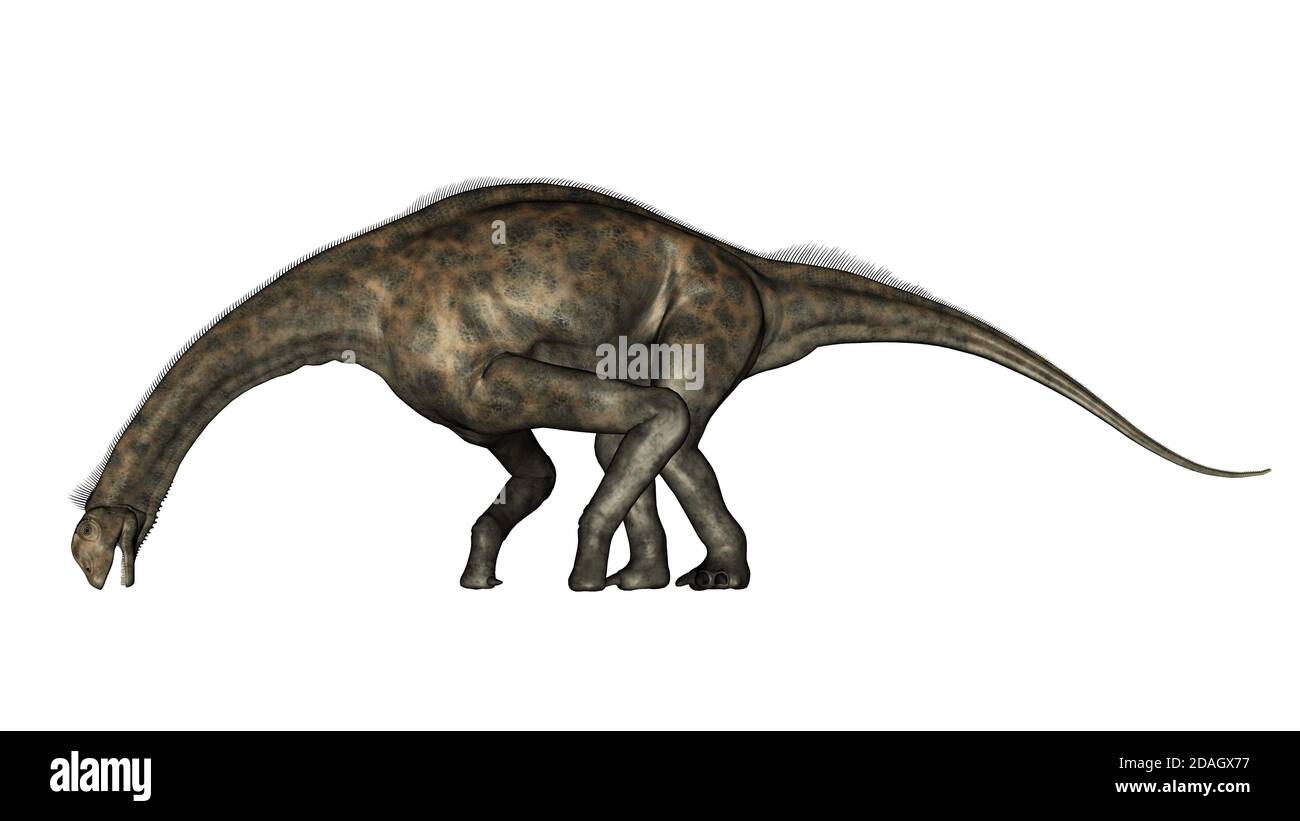 Atlasaurus dinosaur - 3D render Stock Photo - Alamy