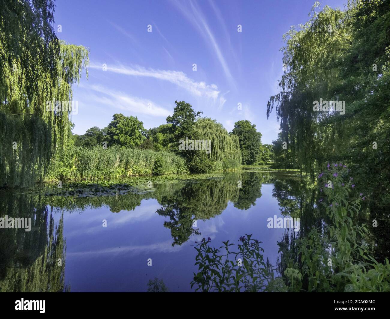 Hamburg alster lakes hi-res stock photography and images - Alamy