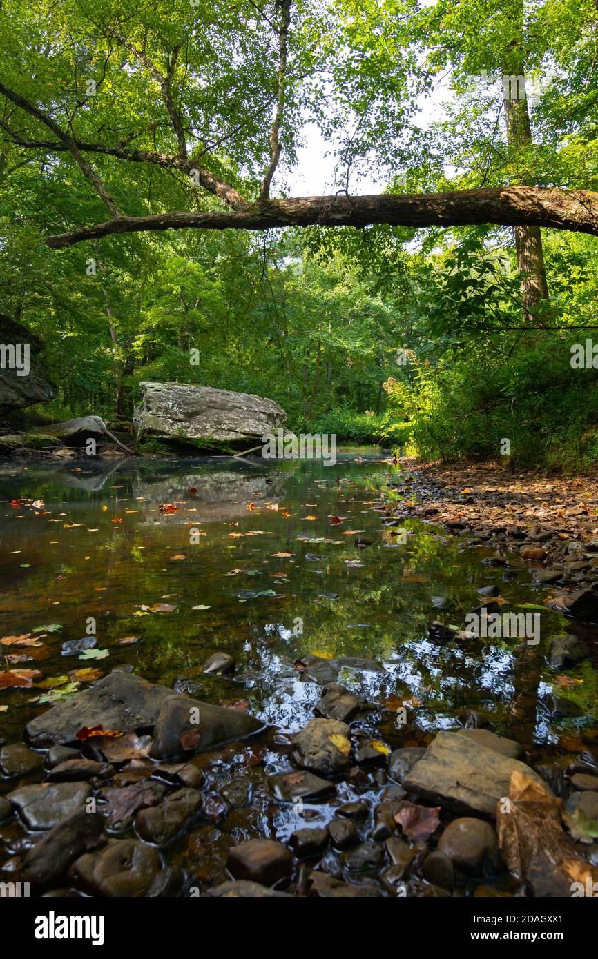Landscape along the hiking trail at Bell Smith Springs. Shawnee ...