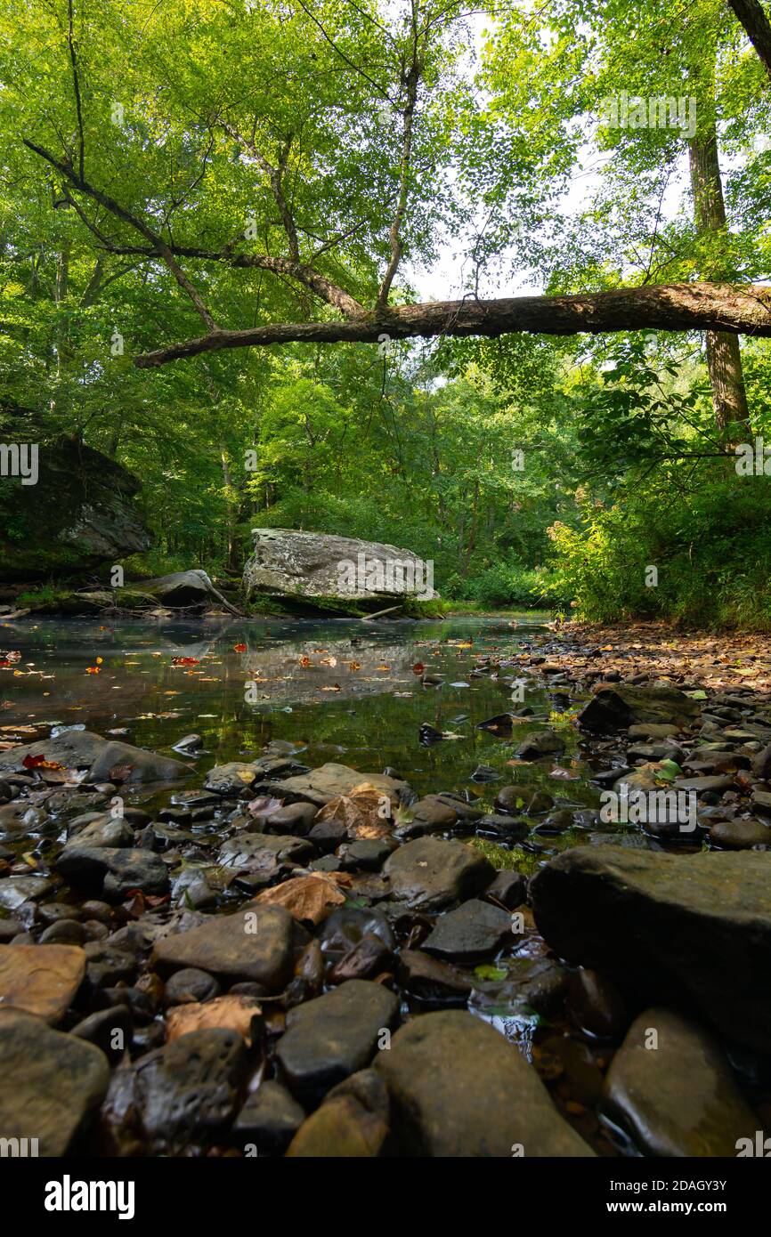 Landscape along the hiking trail at Bell Smith Springs. Shawnee ...