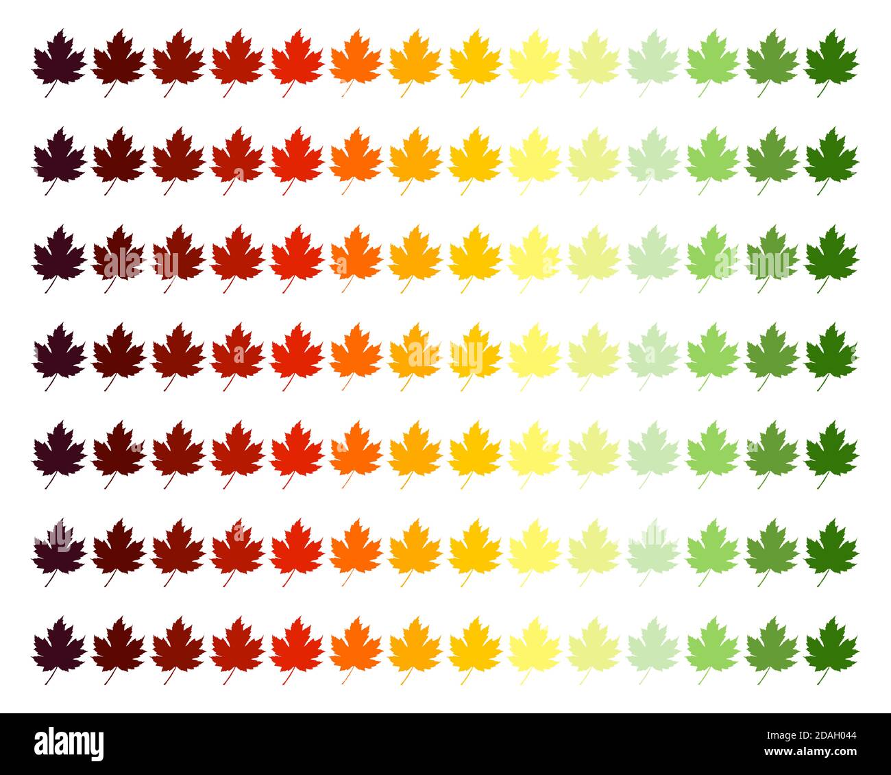 Fall Foliage Pattern Stock Photo - Alamy