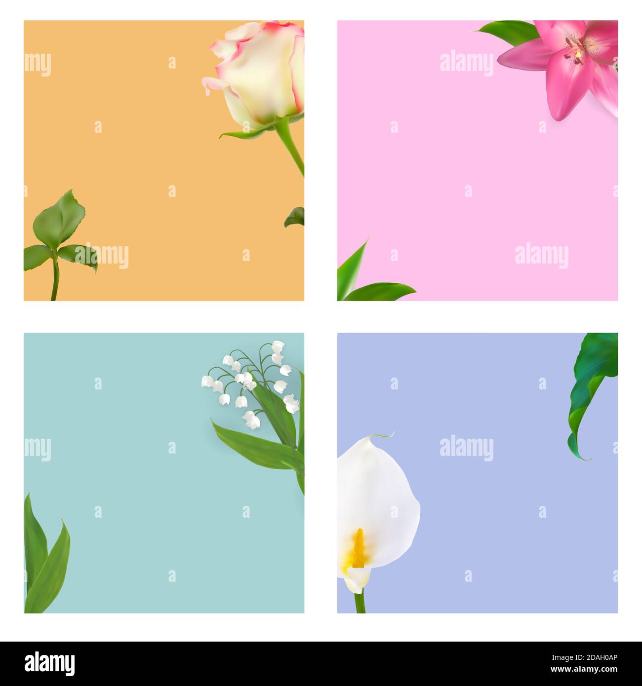 Flower Natural Background for Instagram Post Set. Vector Illustration ...