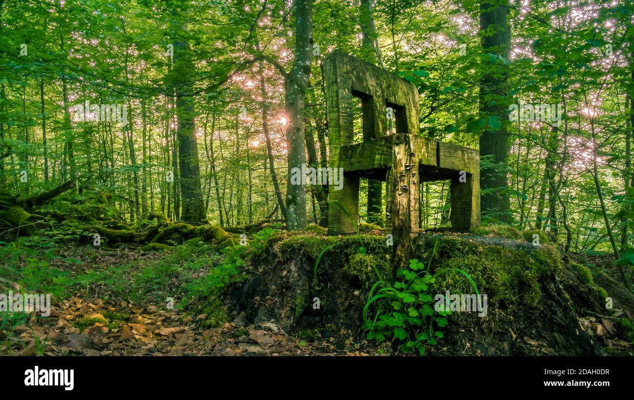 Tree stump chair hi-res stock photography and images - Alamy