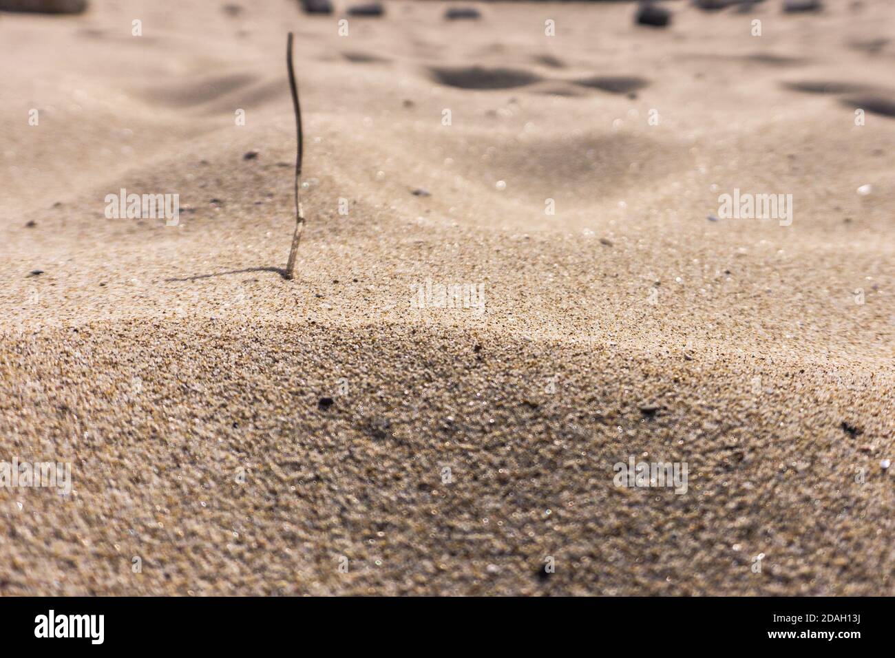 Sandy grass texture hi-res stock photography and images - Alamy