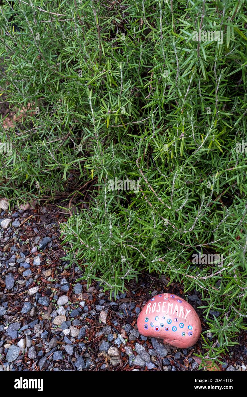 Rock identification hi-res stock photography and images - Alamy