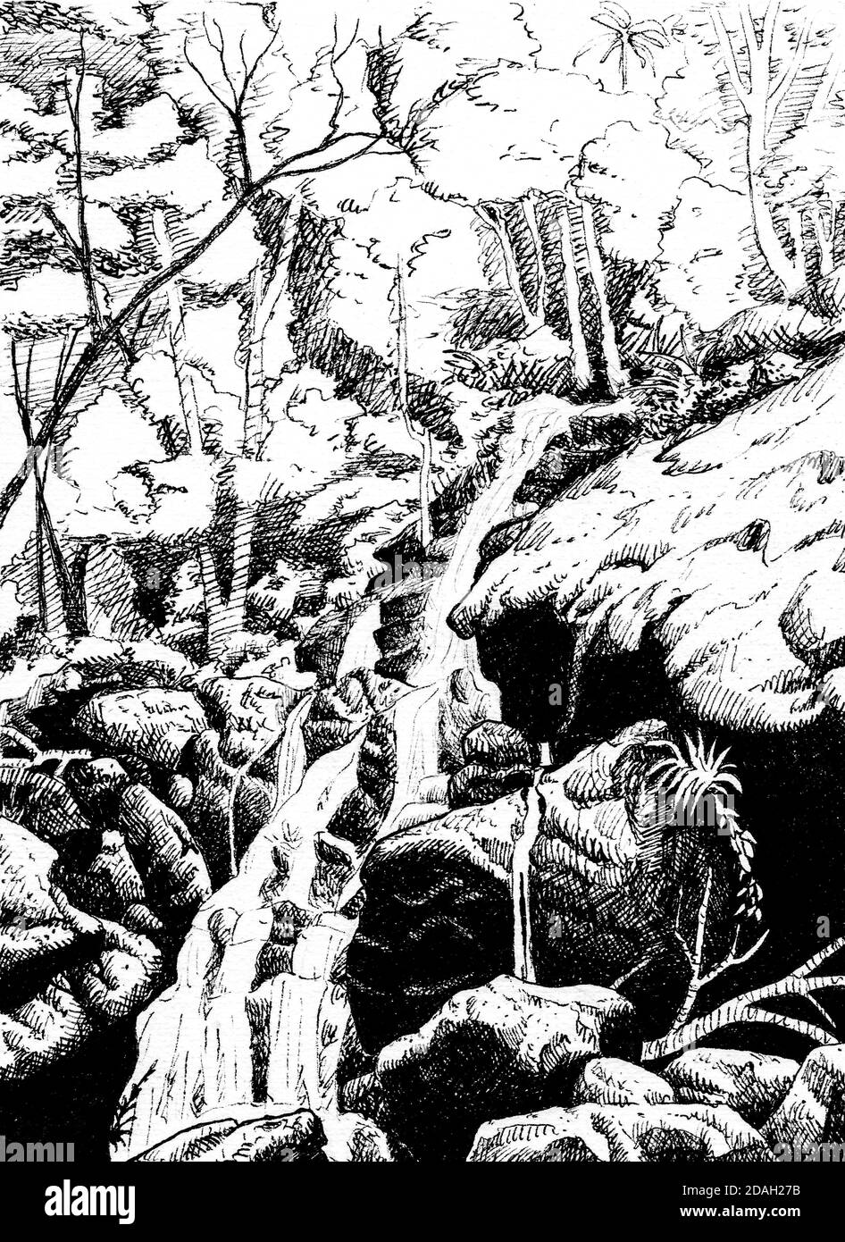 Illustration of waterfall flowing through rocks in the middle of ...