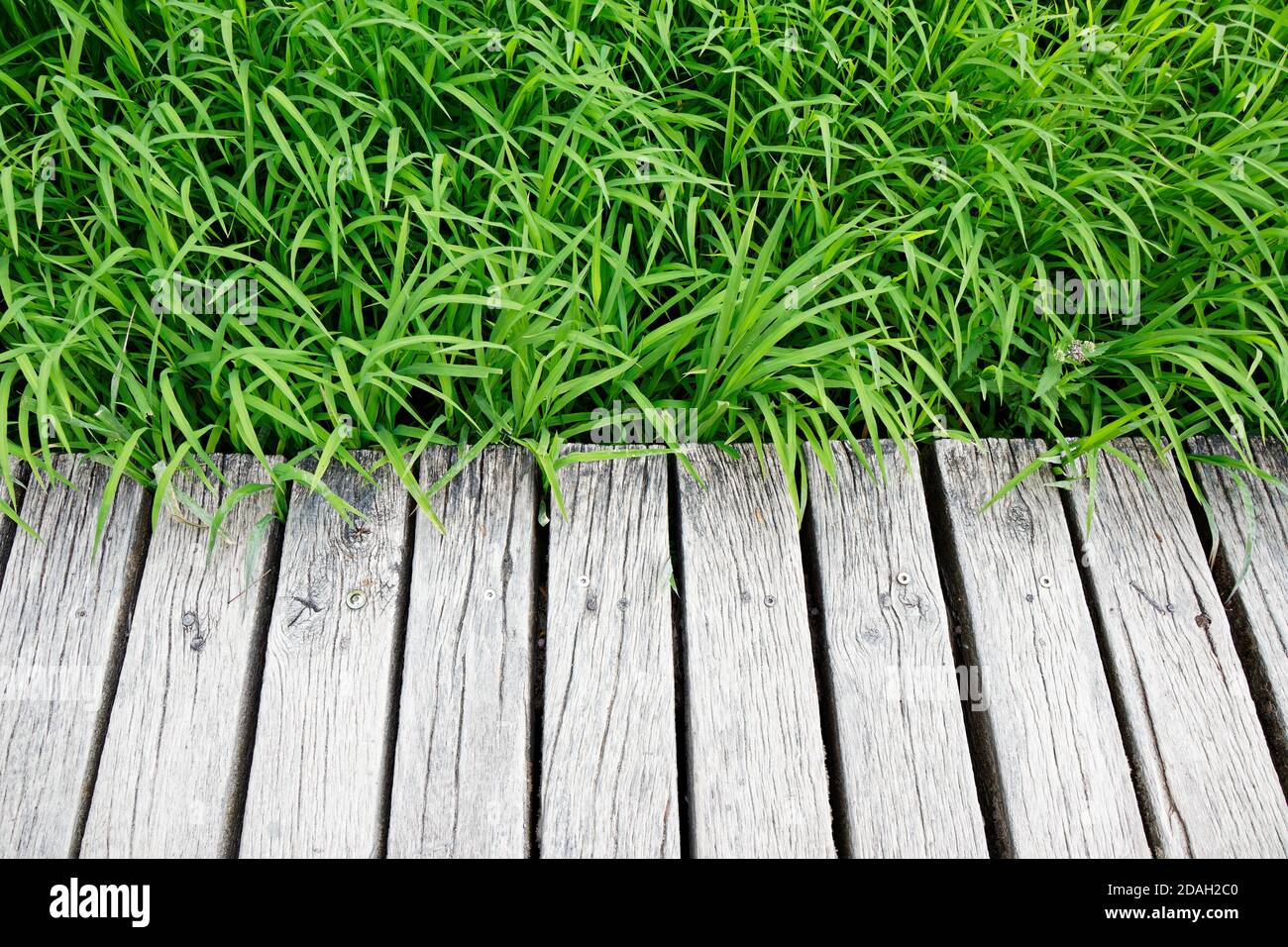 Wooden planks and grass background hi-res stock photography and images ...