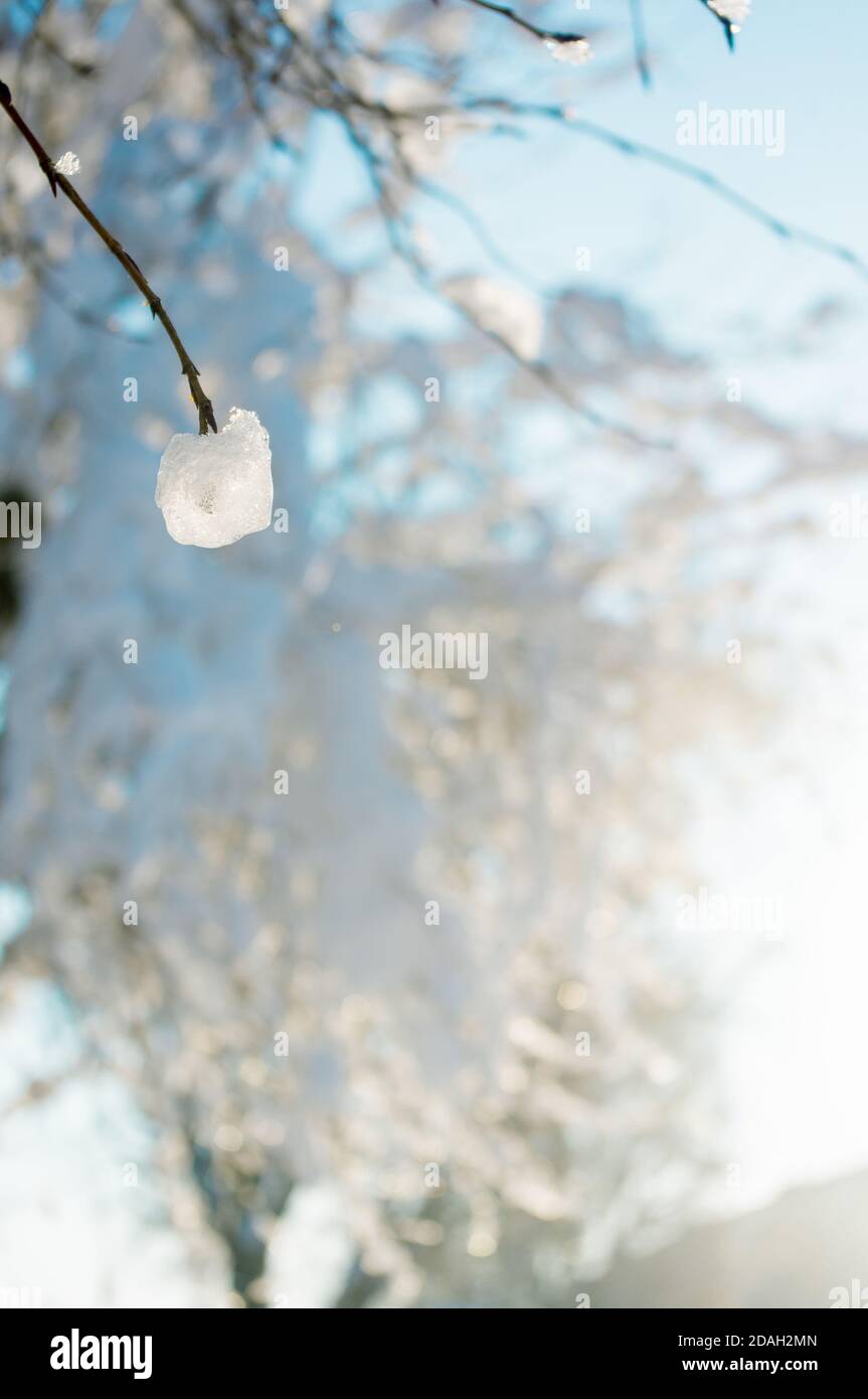 Tree icicles hi-res stock photography and images - Alamy