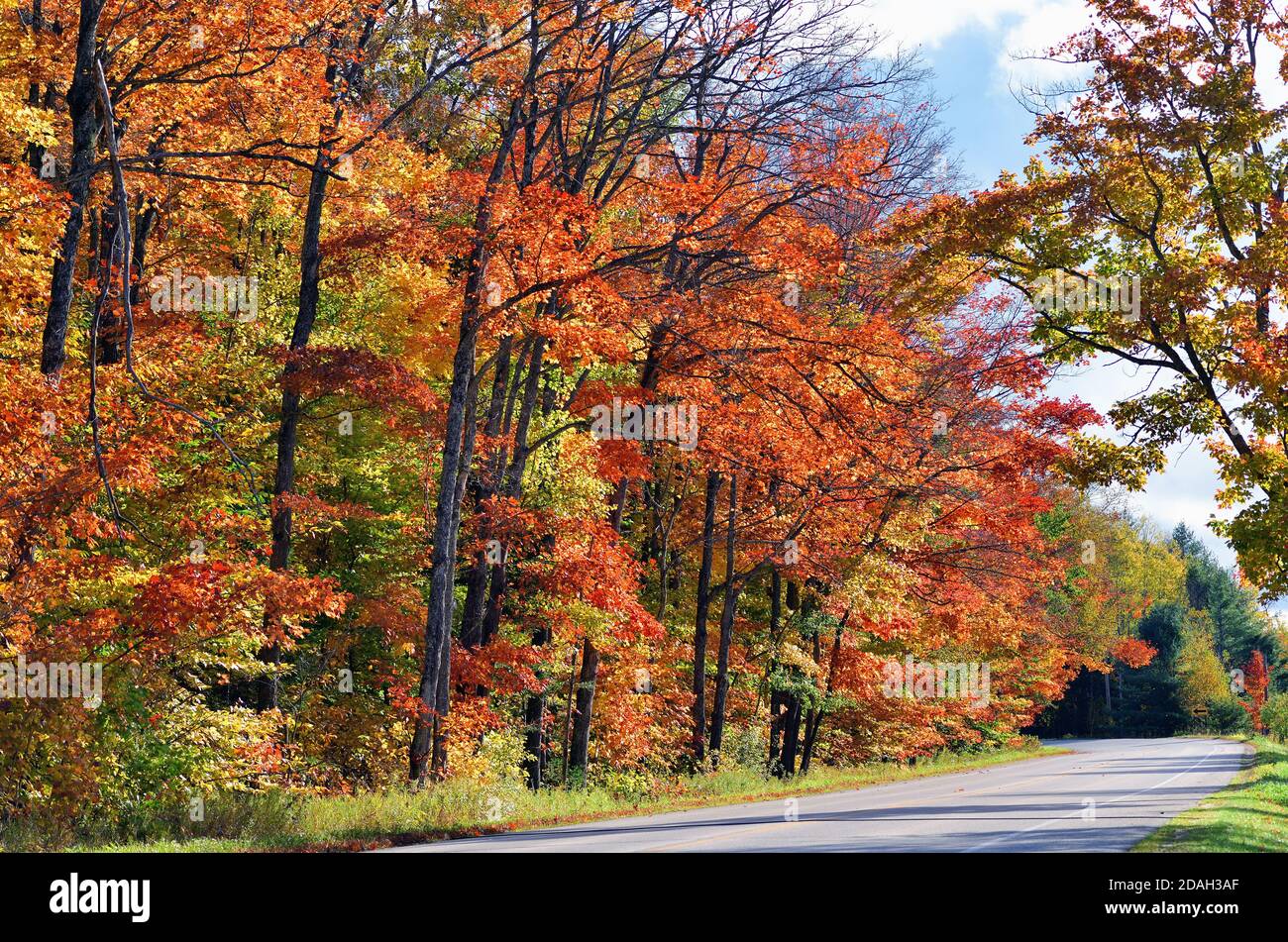 Trout Lake, Michigan, USA. Trees along a country bursting into a ...