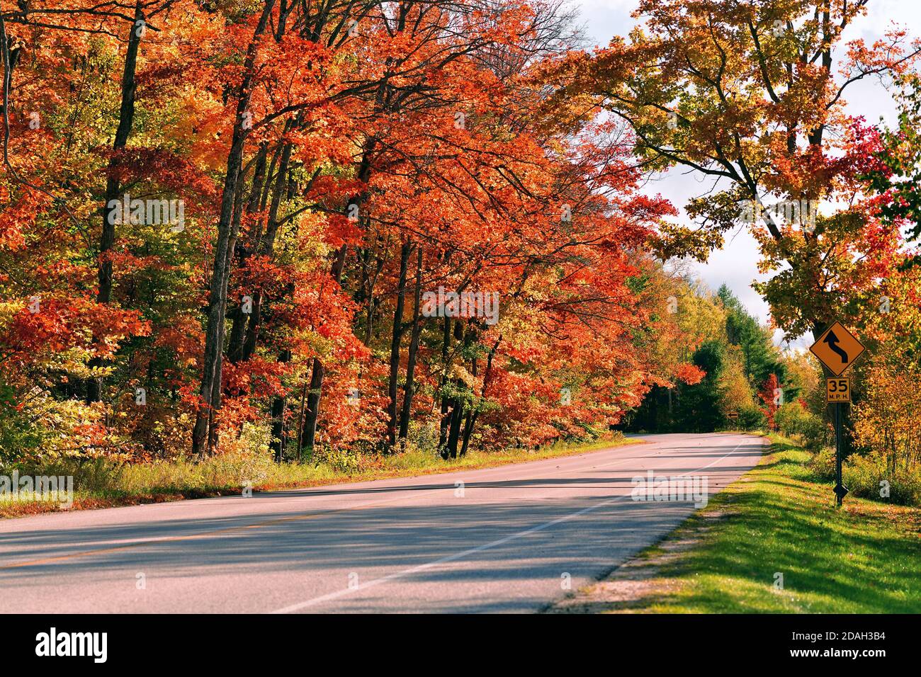 Trout Lake, Michigan, USA. Trees along a country bursting into a ...