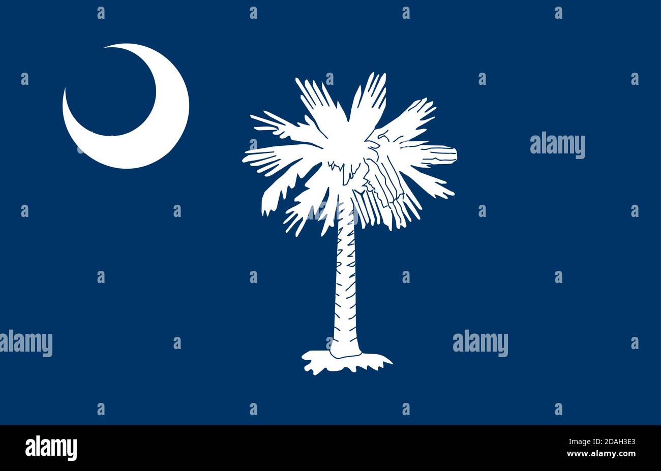 South carolina region Stock Vector Images - Alamy