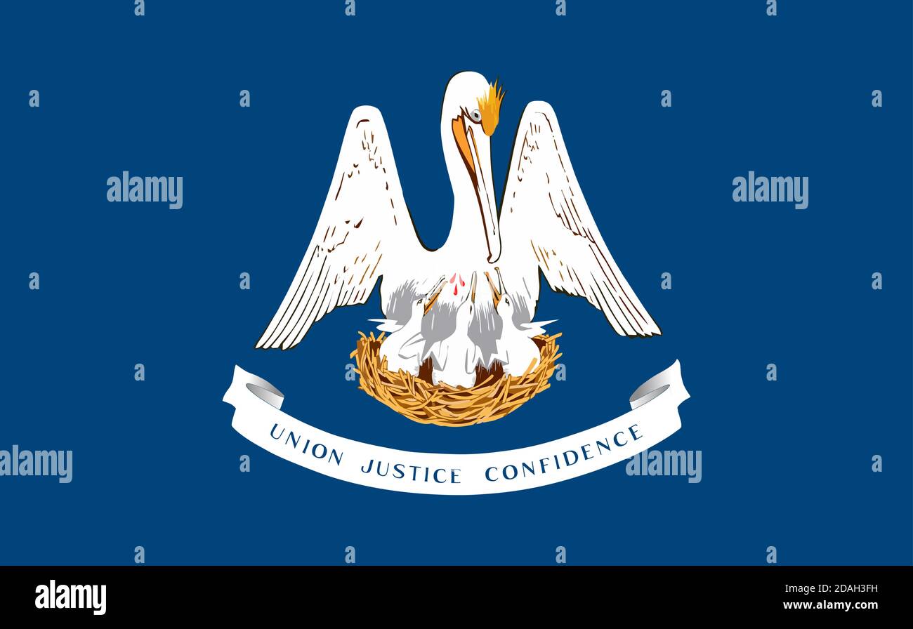 Louisiana bird Stock Vector Images - Alamy