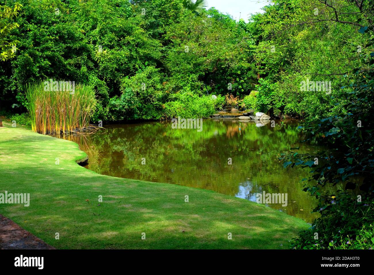 A pond surrounded by grass terrace Stock Photo - Alamy
