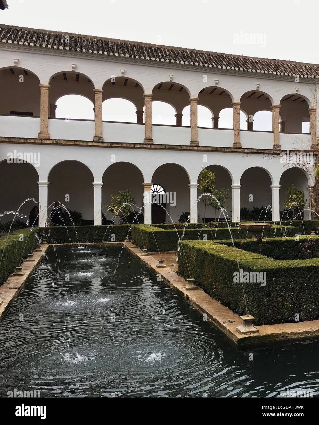 Reflecting pool with square bushes to the side and a view of the ...