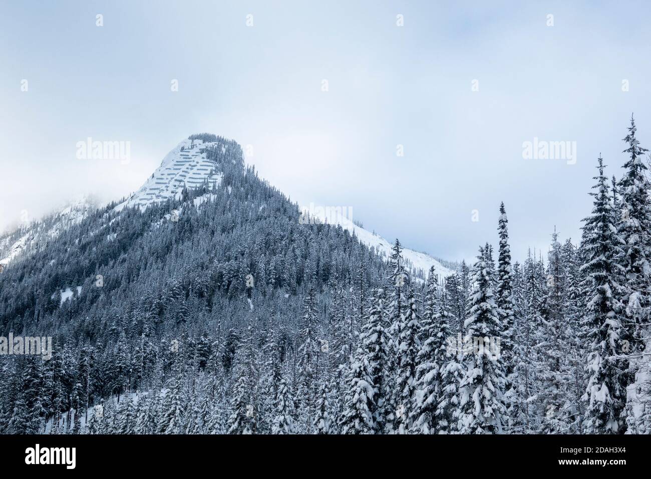 Avalanche fences on mountain in Rogers Pass, British Columbia, Canada ...