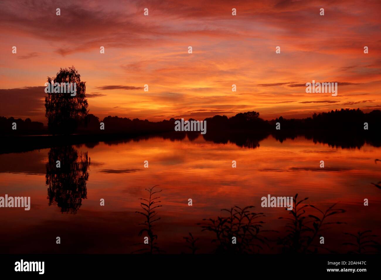 Beautiful pond setting hi-res stock photography and images - Alamy