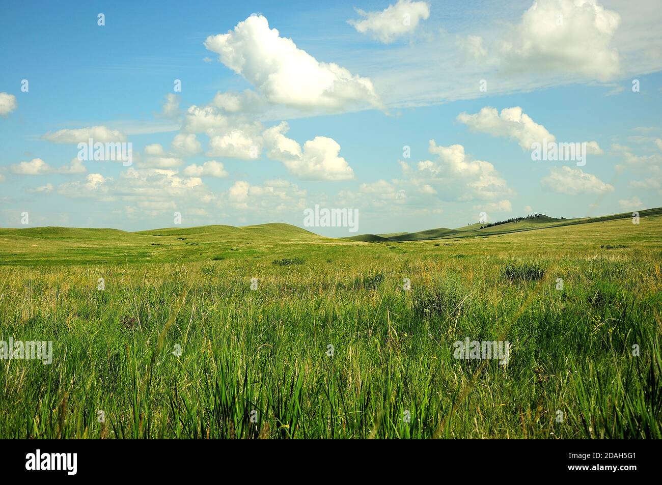 Endless hills grassland steppe hi-res stock photography and images - Alamy