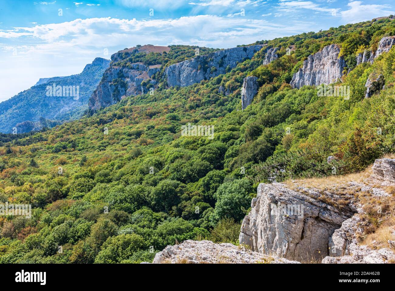 High rocky mountains on cloudy sky background. Green forest on the ...
