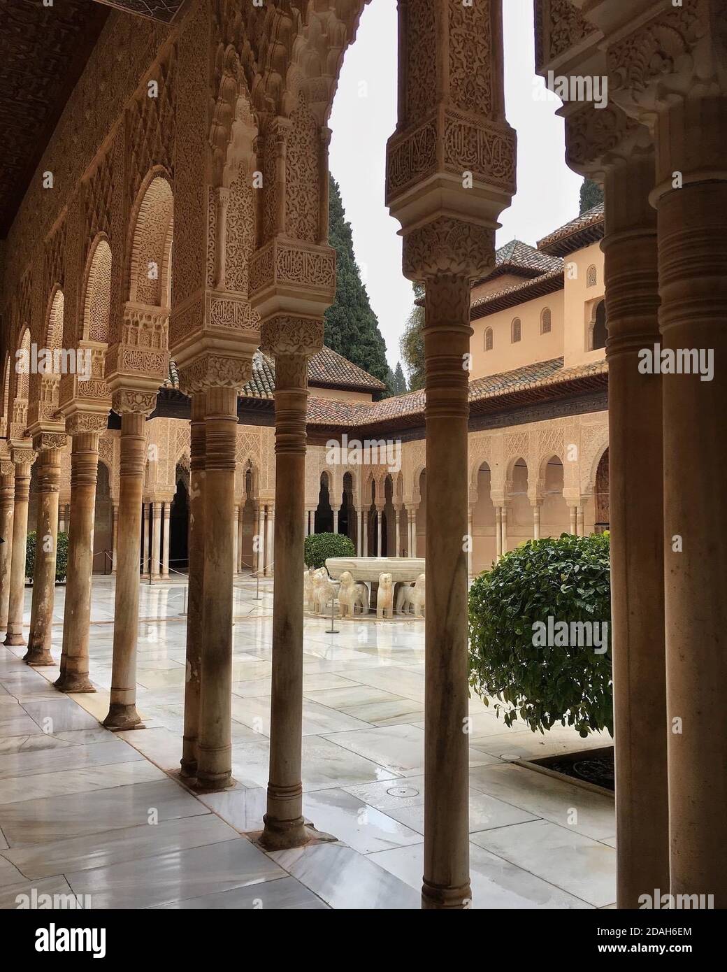 Side view of the court of the Lions at the with a view of the fountain ...