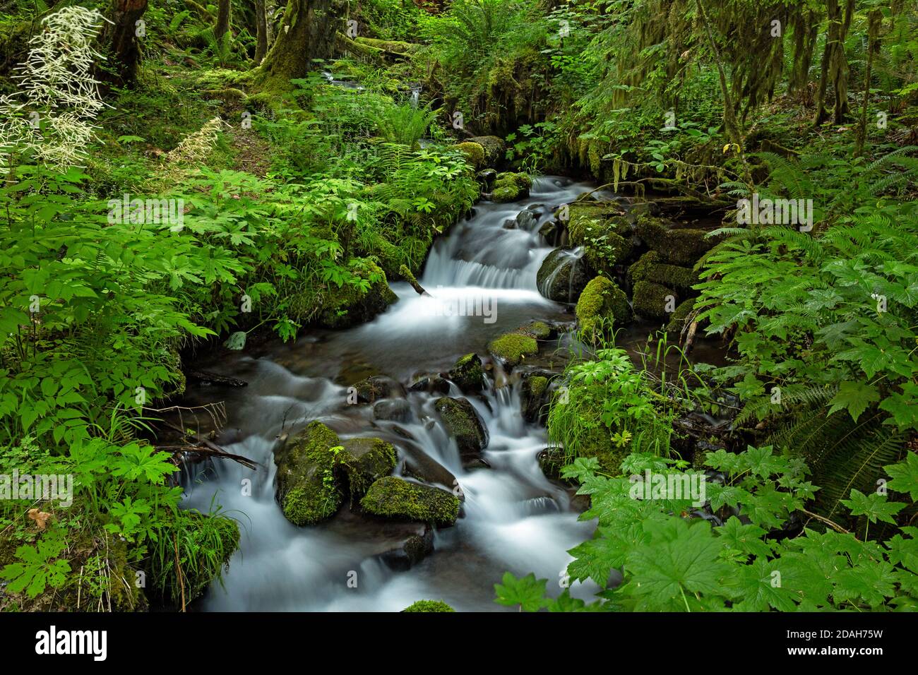 Whiskey creek hi-res stock photography and images - Alamy