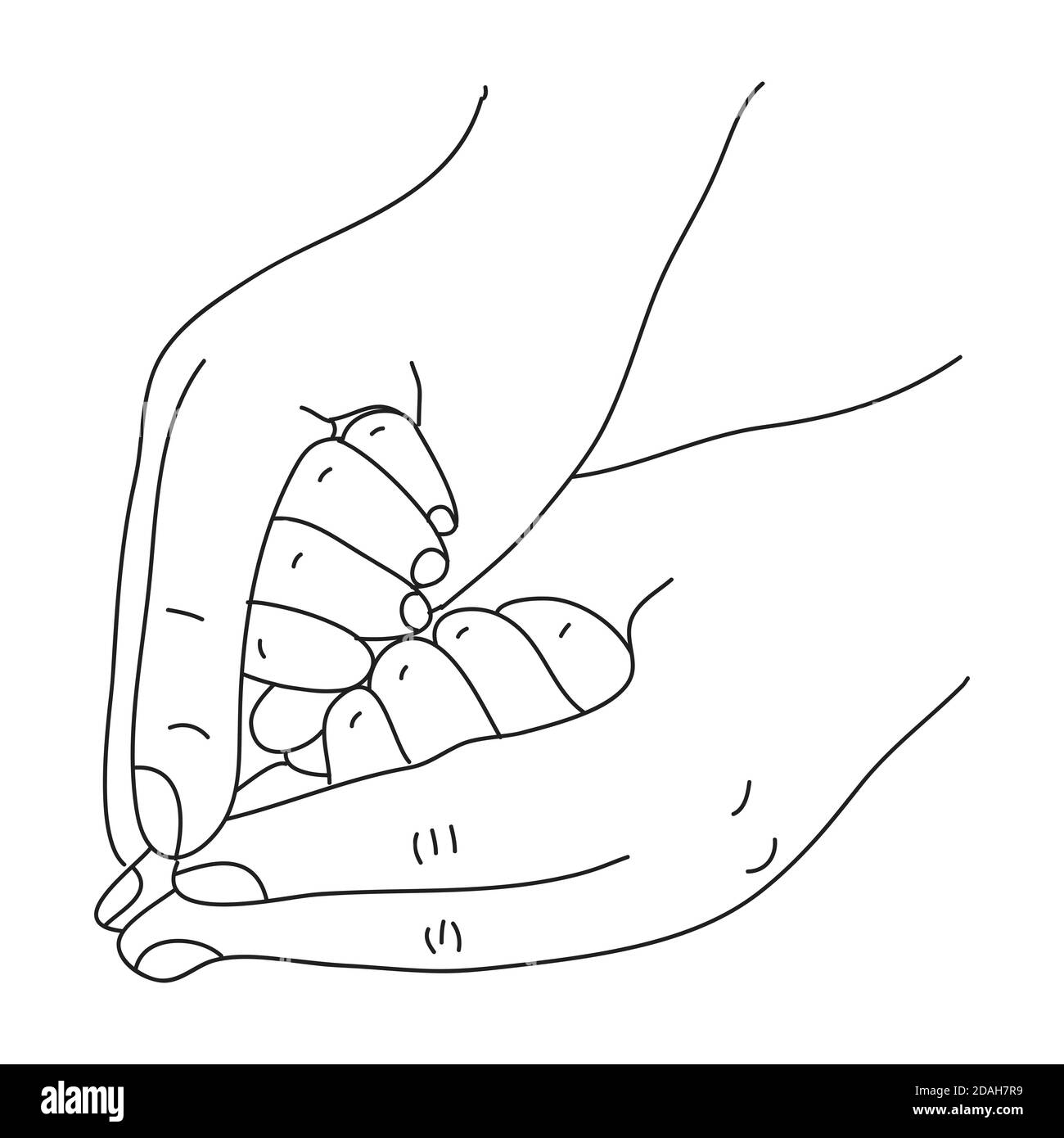 Hand drawn of baby's palm held by parent's hand Stock Vector Image ...