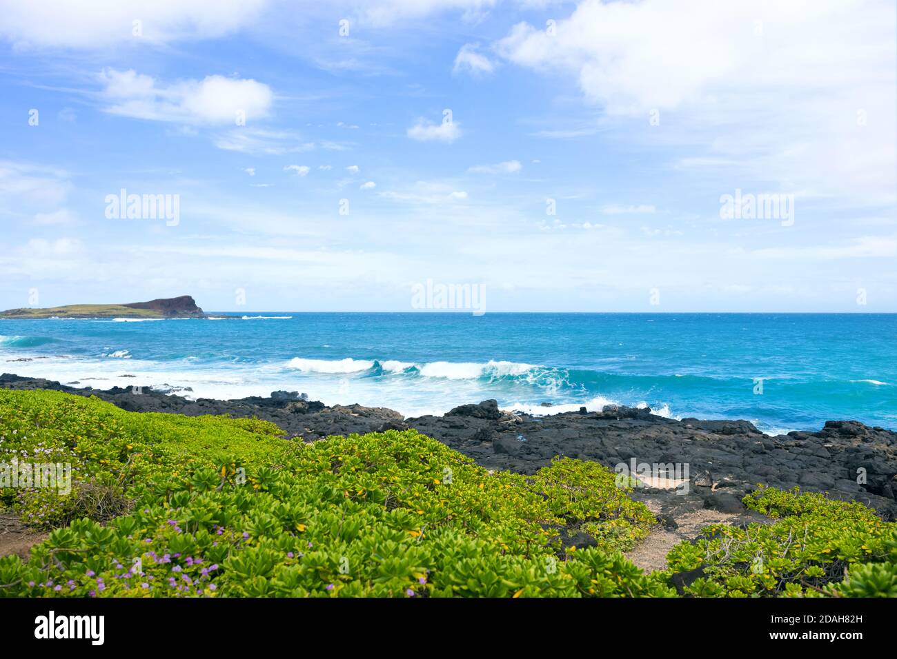 Beach oahu tidepools hi-res stock photography and images - Alamy