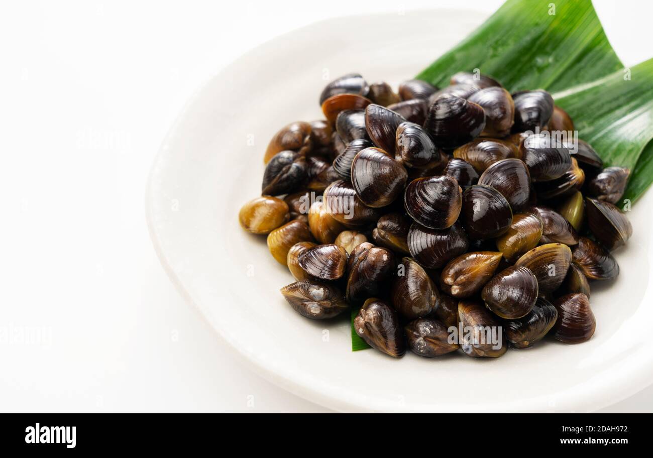 A clam in a plate of green leaves on a white background Stock Photo - Alamy