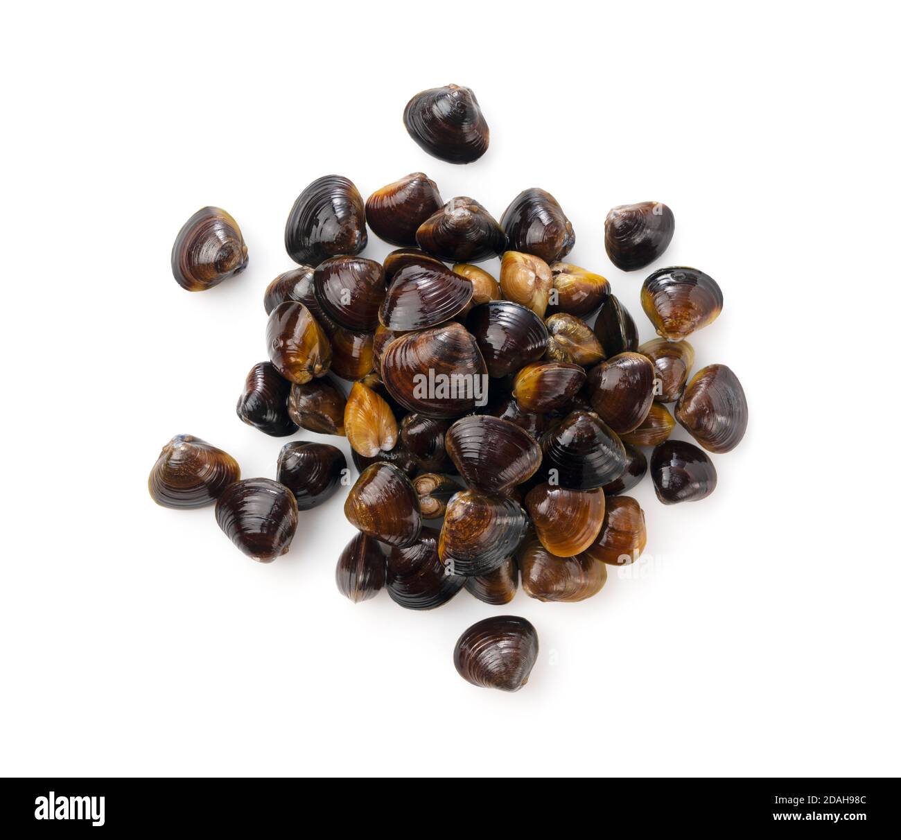 Clam miso soup hi-res stock photography and images - Alamy