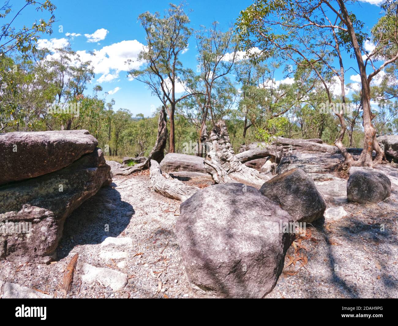 Australian bush outback rocks track Stock Photo - Alamy