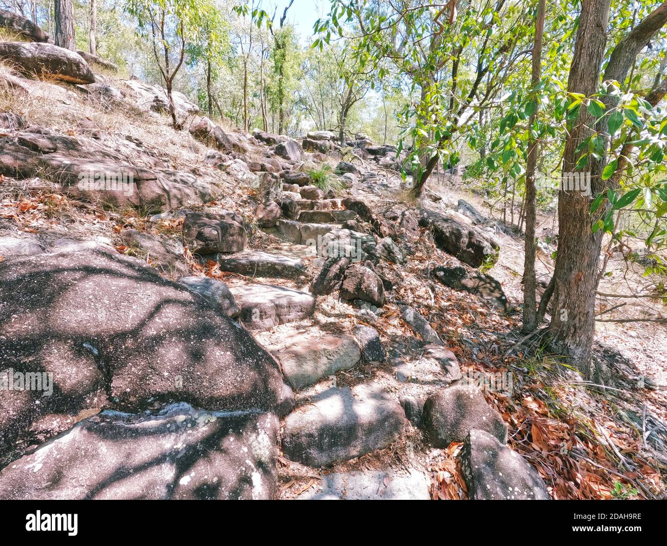 Australian bush outback rocks track Stock Photo - Alamy