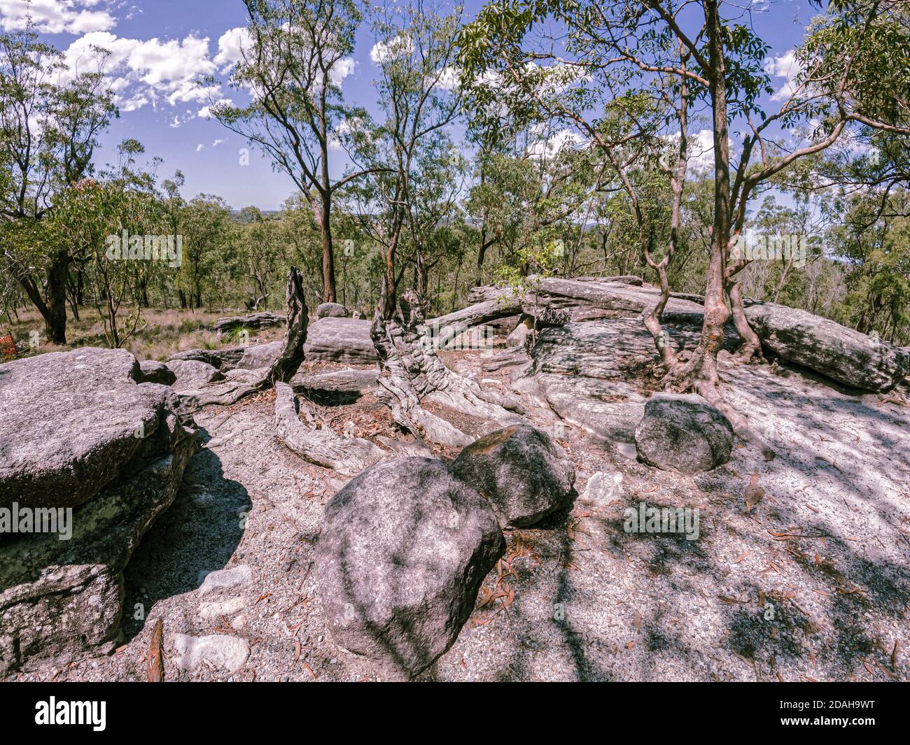 Australian bush outback rocks track Stock Photo - Alamy
