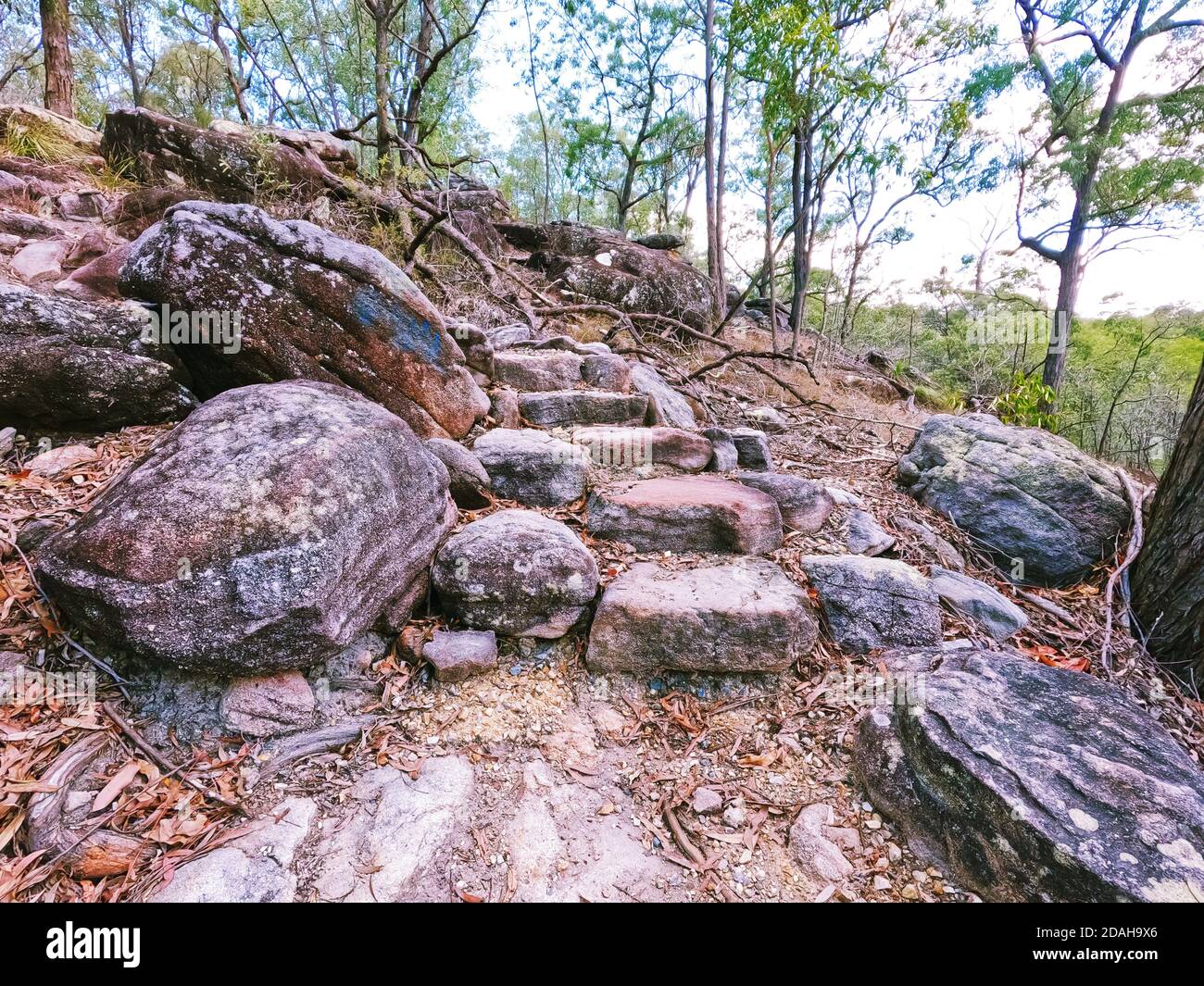 Australian bush outback rocks track Stock Photo - Alamy