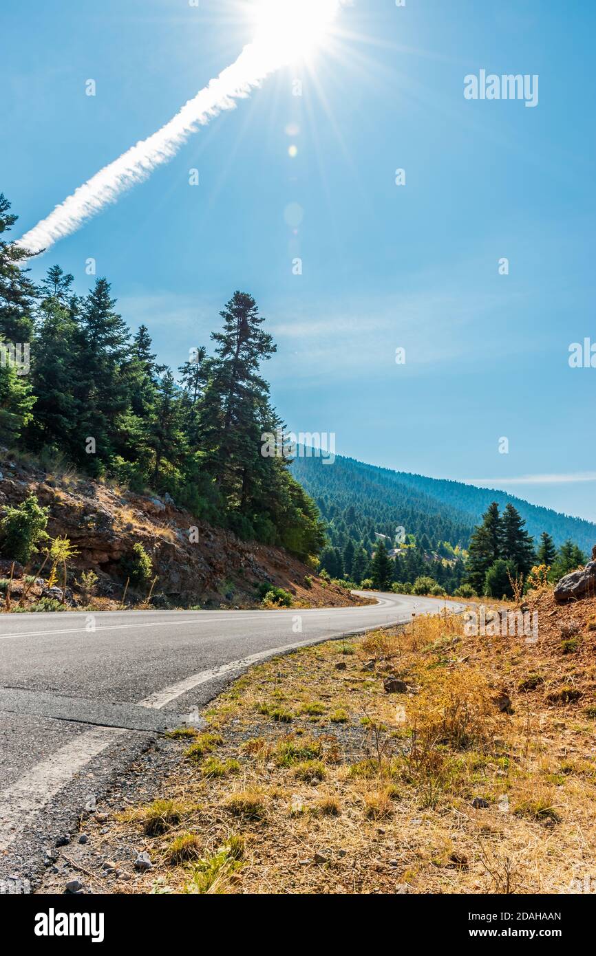 Street view of the forests of mainalo mountain in a sunny day with a ...