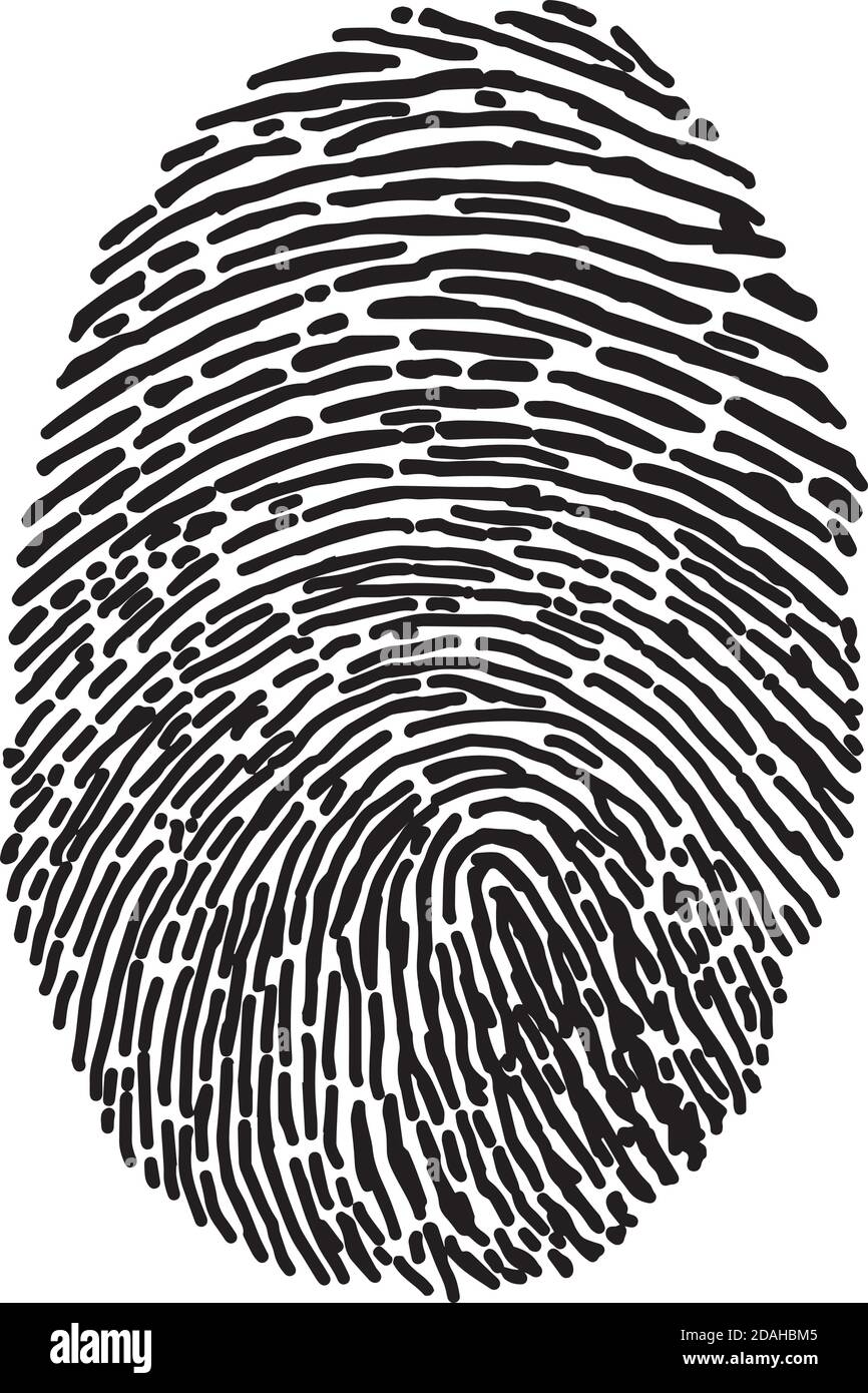 illustration vector hand draw doodles of black isolated fingerprint on ...