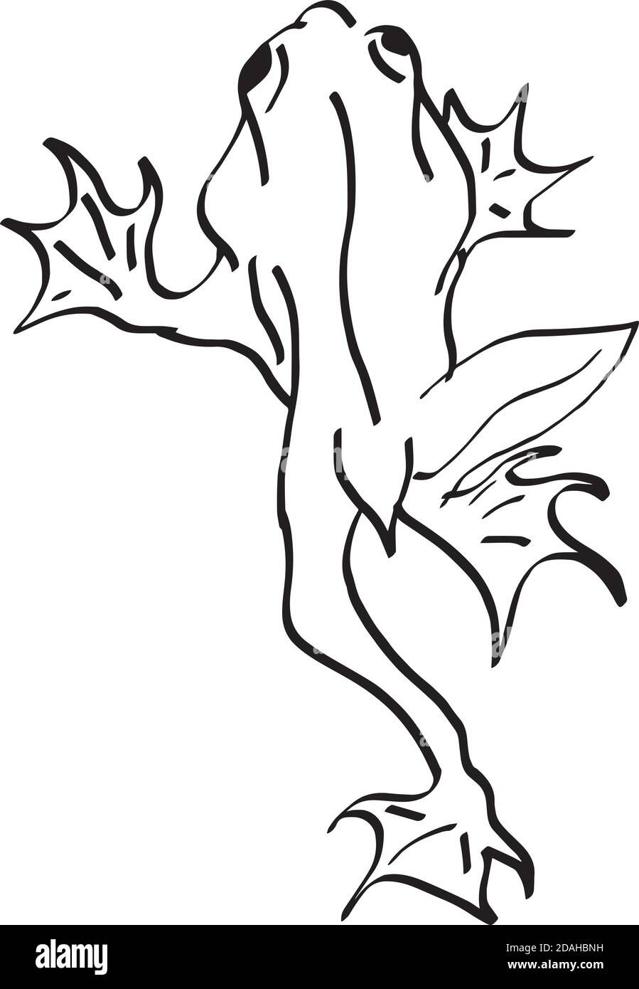 illustration vector doodles hand drawn frog climbing wall background ...