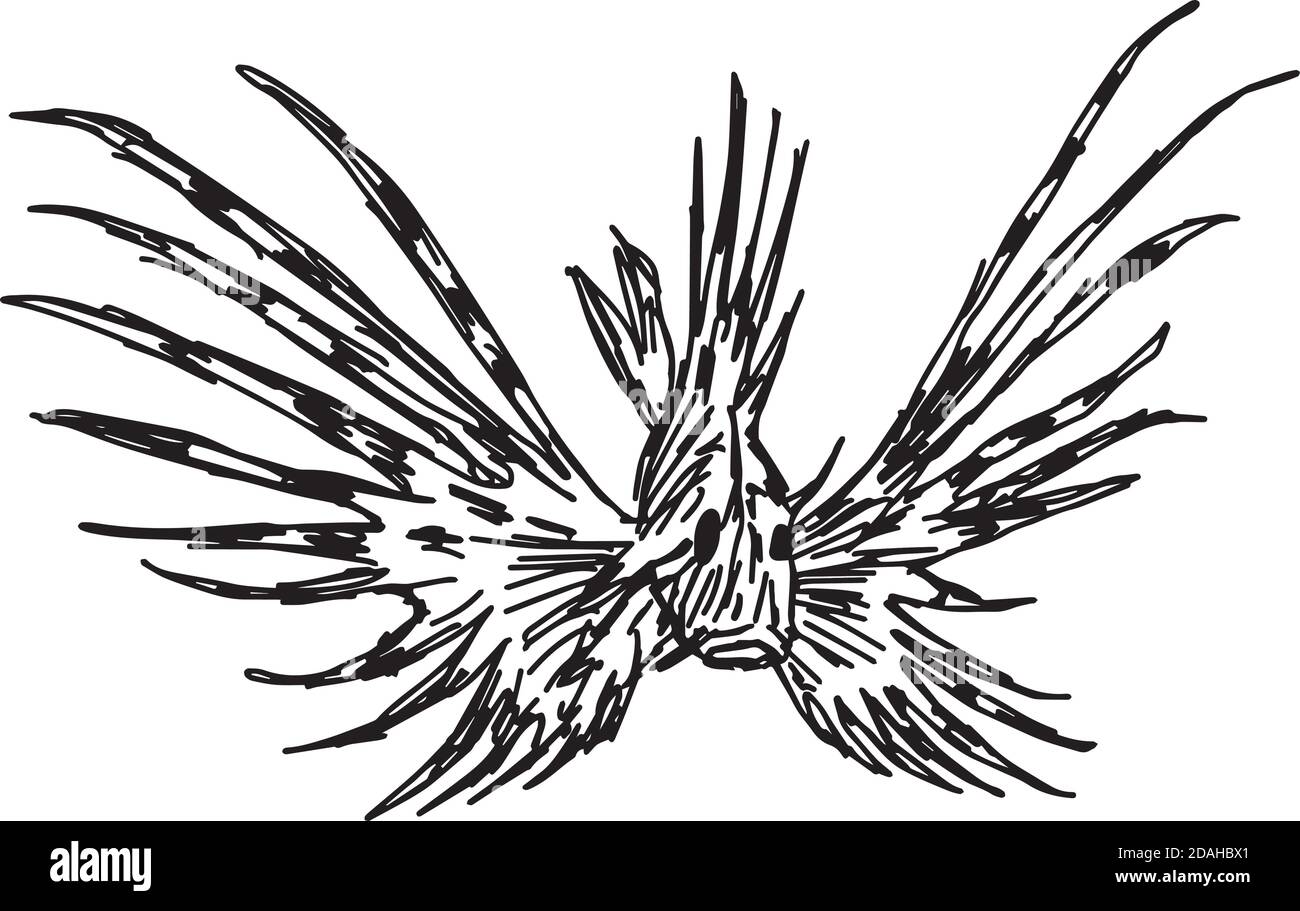 Zebra outline Black and White Stock Photos & Images - Alamy